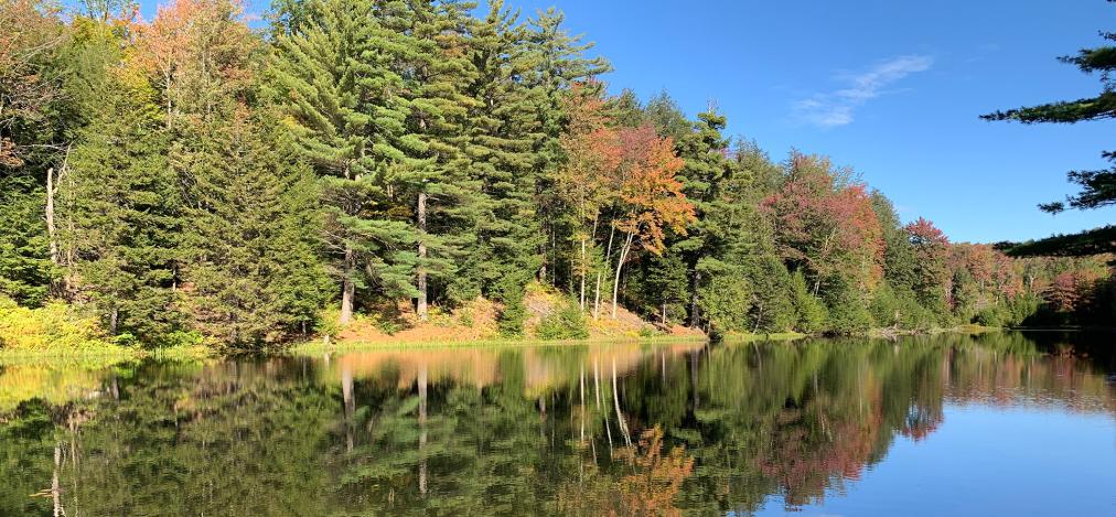 Town of Starksboro, VT