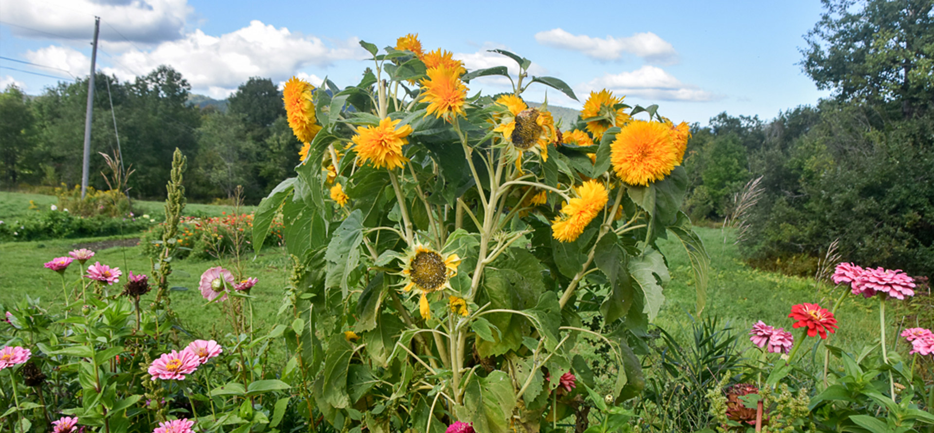 Town of Starksboro, VT